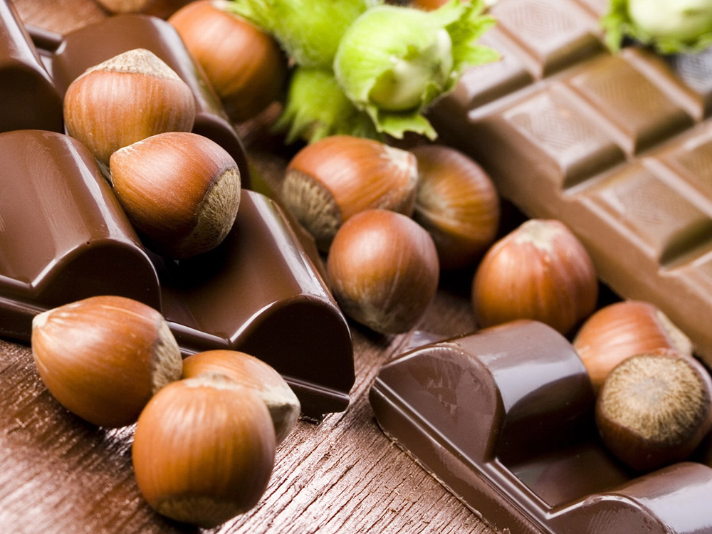 Etiam vitae interdum ligula | Capuchinho Verde